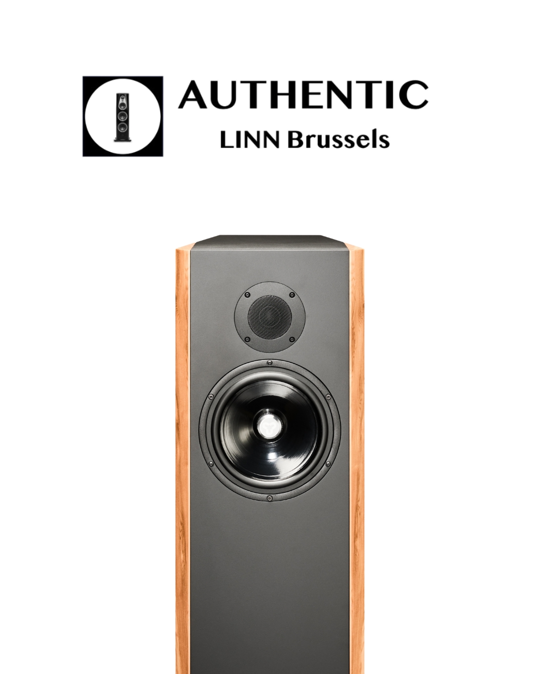 Join Kudos Audio At Authentic High End | Kudos Audio